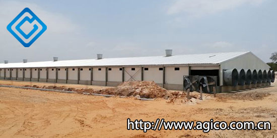 Commercial Poultry House Solution, Scientific Poultry House Layout Design