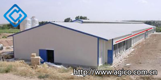 Commercial Poultry House Solution, Scientific Poultry House Layout Design